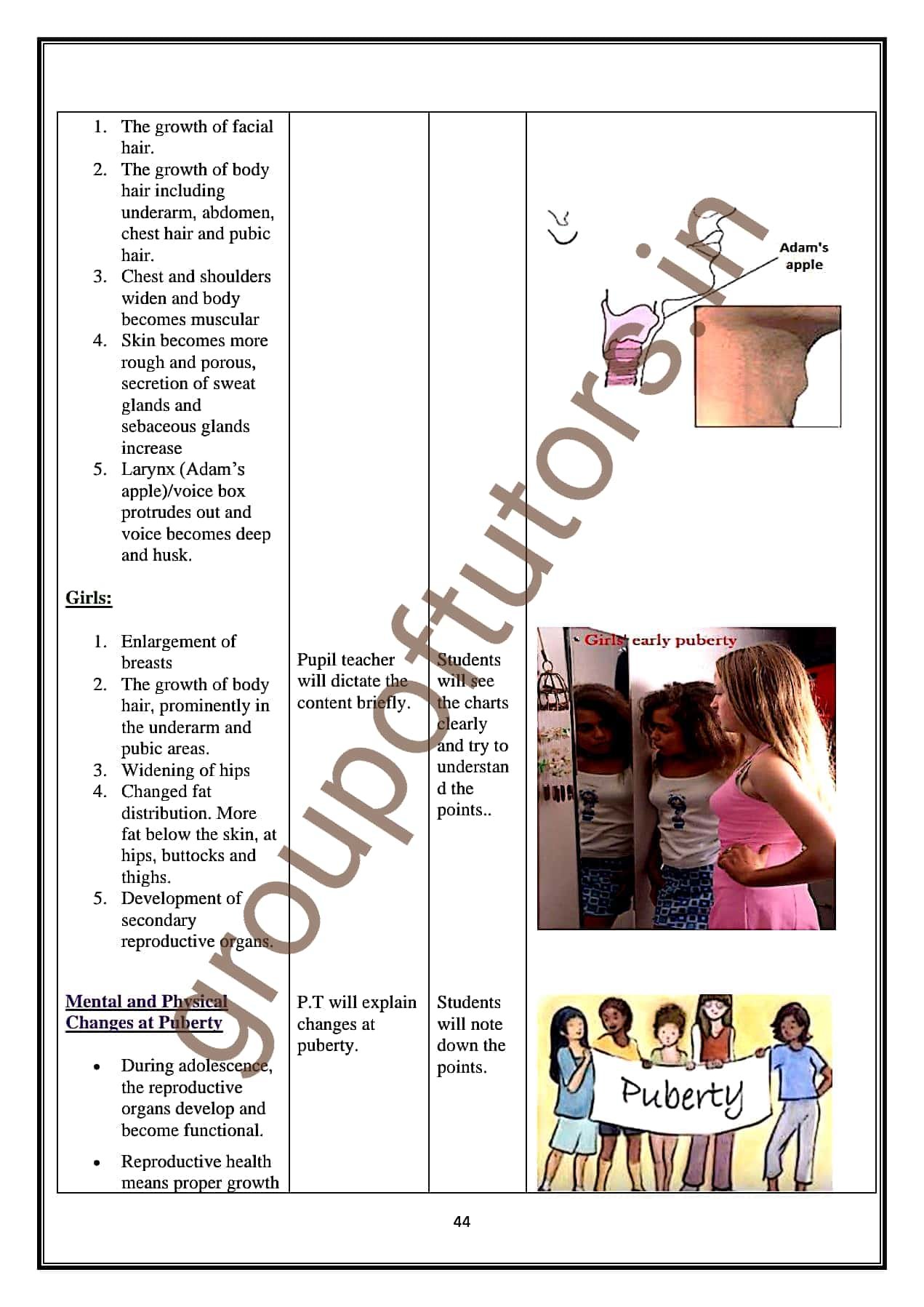 Adolescence Lesson Plan Class 8 - Group Of Tutors