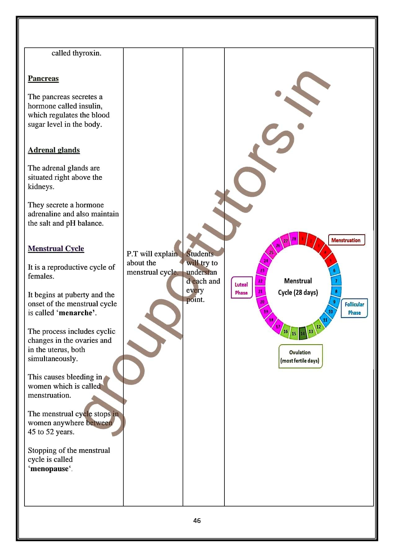 Adolescence Lesson Plan Class 8 - Group Of Tutors